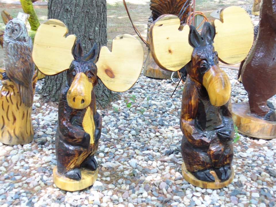 Watson's Woods - Watson's Woods